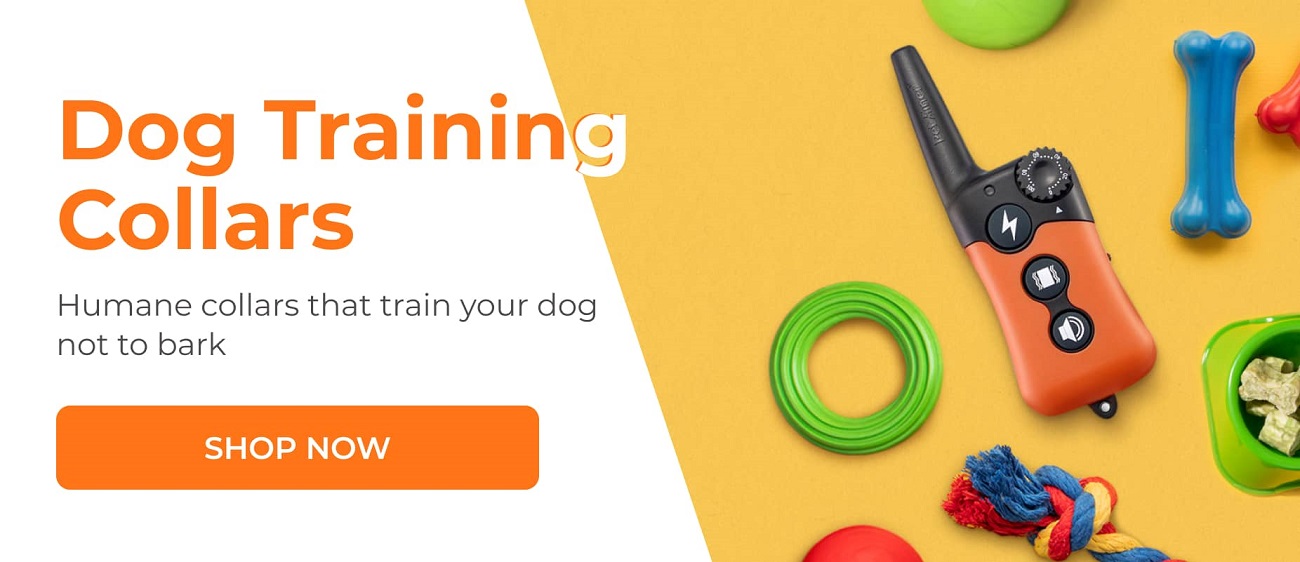 PrimDog.co.uk | Show your doggie some love today